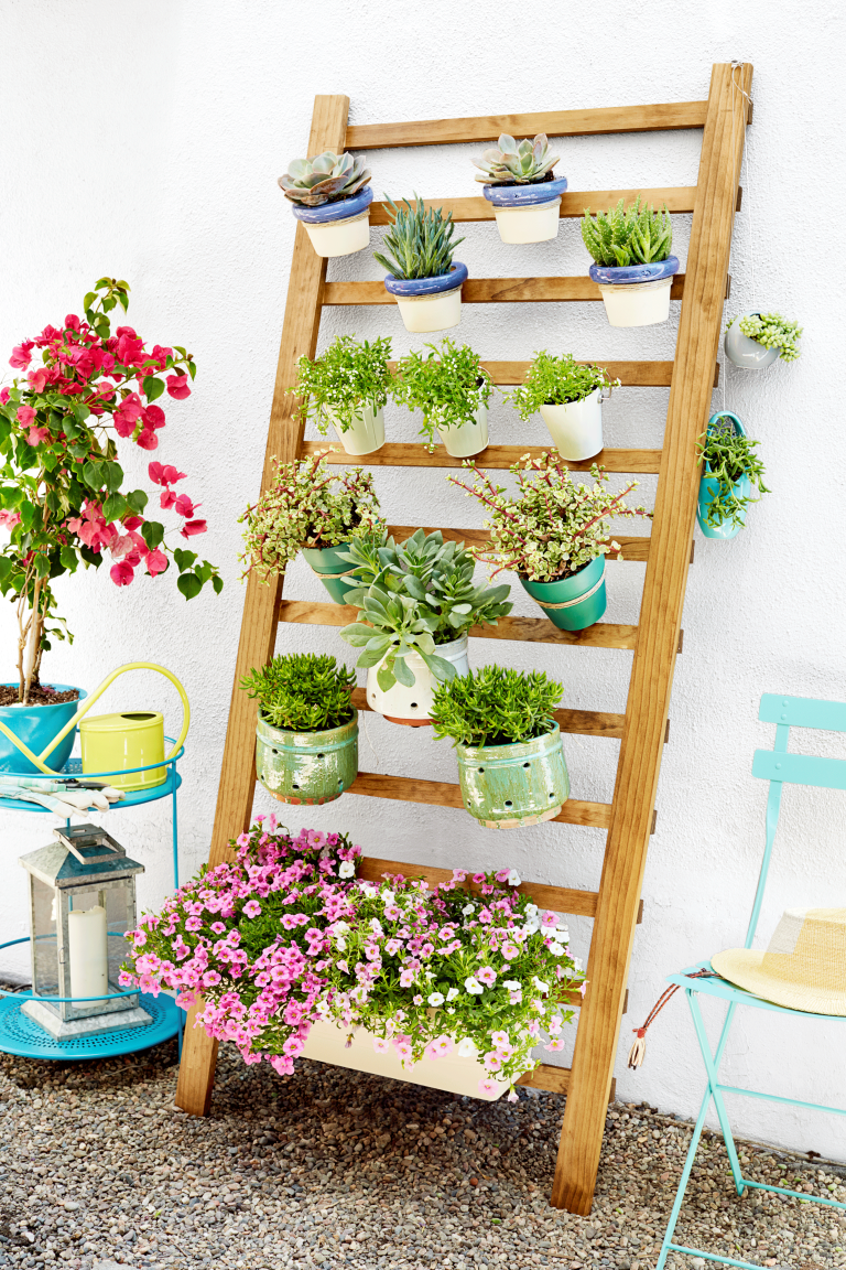 Jardim Vertical Ideias Para Montar O Seu Em Casa Inara Souza