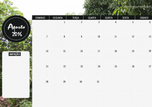 Calendário Agosto 2016 para download - Casinha Arrumada